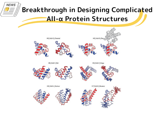 Breakthrough in designing complicated all-α protein structures - 大阪大学 ...